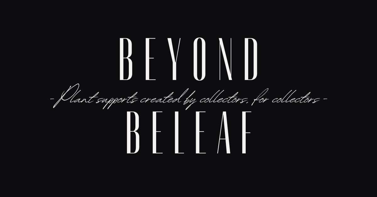 Maximize Your Plant's Health with Self Watering Supports BEYOND BELEAF ...